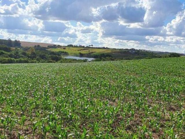 Terreno à venda em Sertanópolis, Rodovia