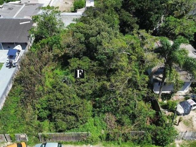Terreno a venda em Shangri lá para construir