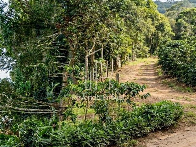 Terreno à venda em SP, 550m² na Cidade Luz: espaço, conforto e qualidade de vida! Agende sua visita
