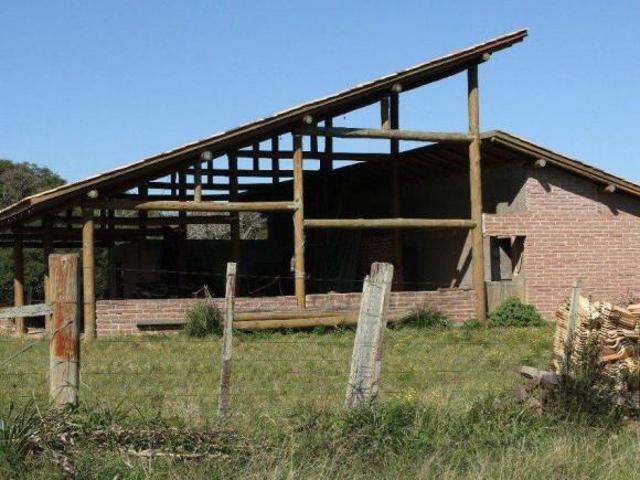 Terreno à venda em Padre Elly