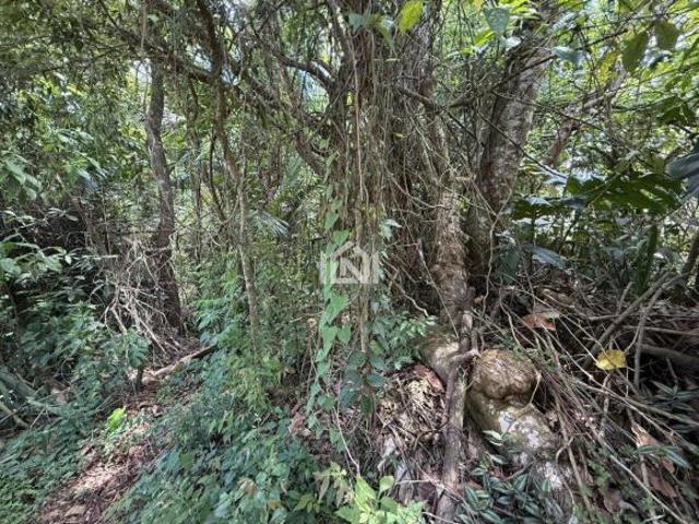 Terreno à venda em Paisagem Renoir
