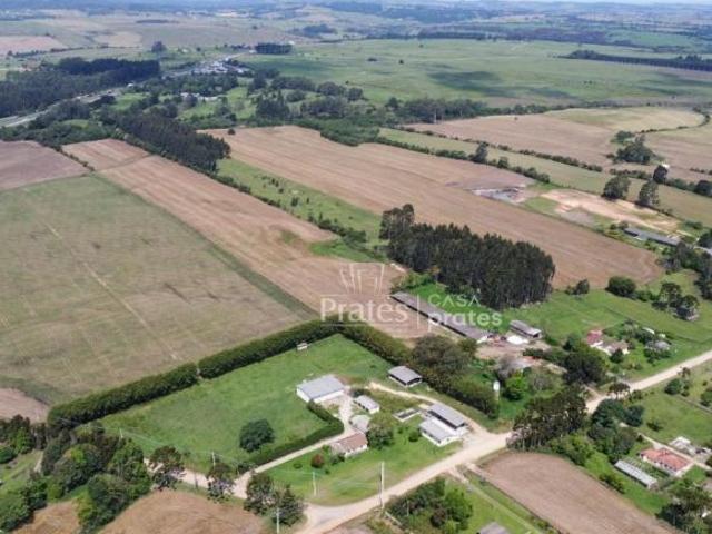 Terreno à venda em Palmeira
