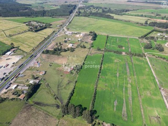 Terreno à venda em Palmeira