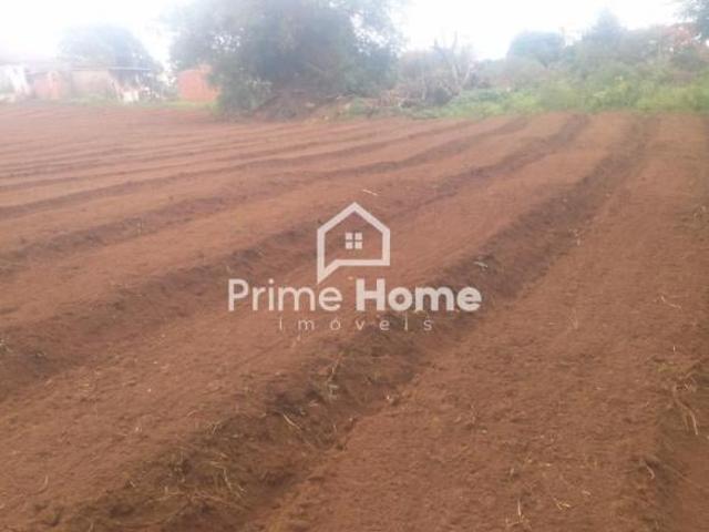 terreno à venda em Parque Novo Mundo