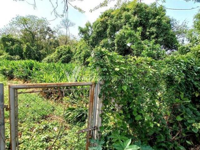 terreno à venda em Parque Ortolândia