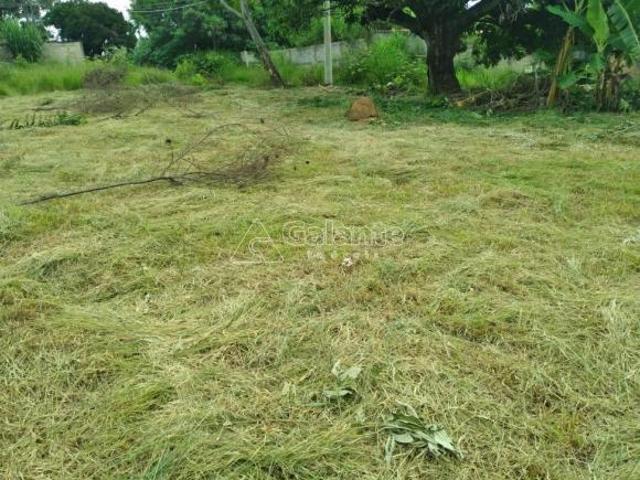 terreno à venda em Parque dos Pomares
