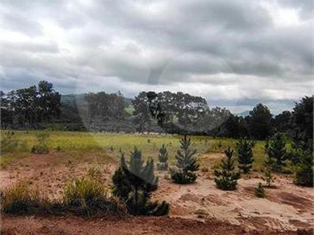 Terreno à venda em Parque hortência SP