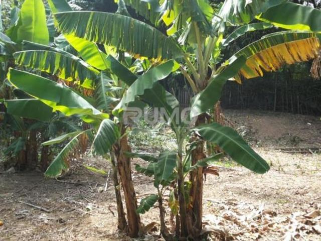 terreno à venda em Parque Jatibaia Sousas