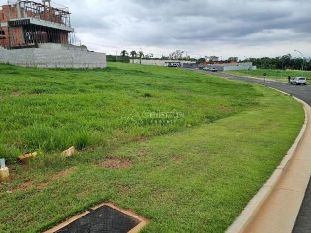 terreno à venda em Parque São Quirino
