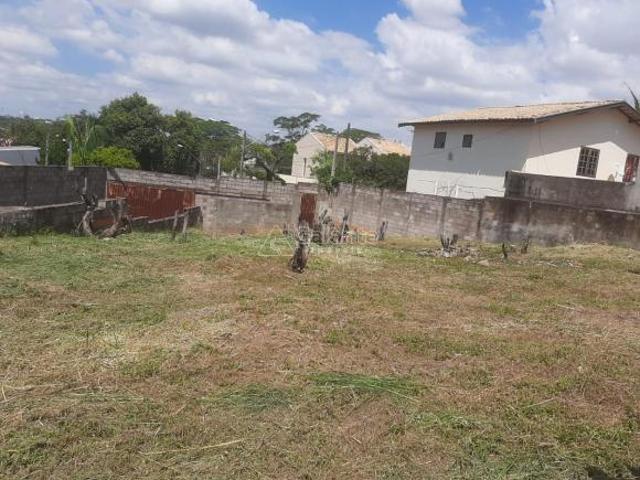 terreno à venda em Parque São Quirino