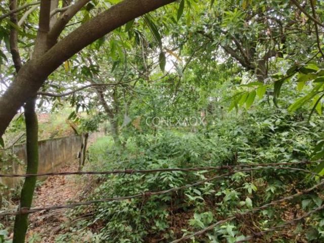 terreno à venda em Parque Shangrilá