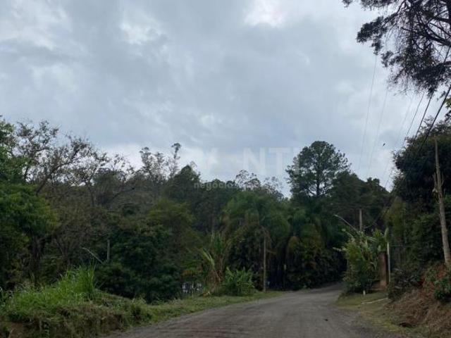 terreno à venda em Parque Valinhos
