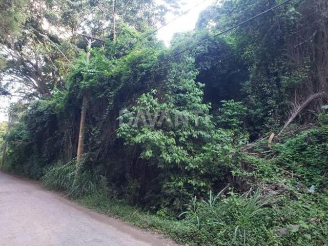 terreno à venda em Parque Valinhos