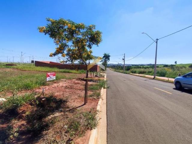 terreno à venda em Parque Vasconcellos
