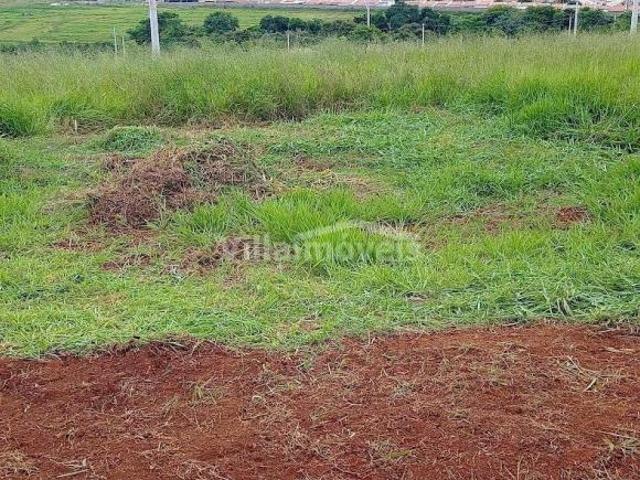 terreno à venda em Parque Vasconcellos