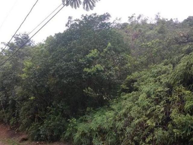 Terreno à venda em Nova Lima