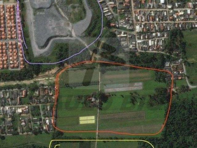 Terreno à venda em Pegorelli