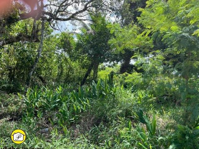 Terreno à venda em Peruíbe, no Balneário Josedy, com 300,00m² de área A oportunidade que você espe
