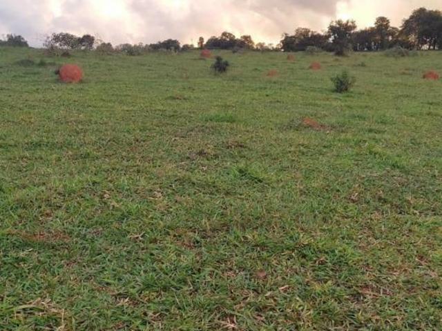 TERRENO À VENDA EM PIEDADE DOS GERAIS/MG