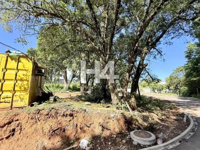 Terreno à venda em Pilarzinho