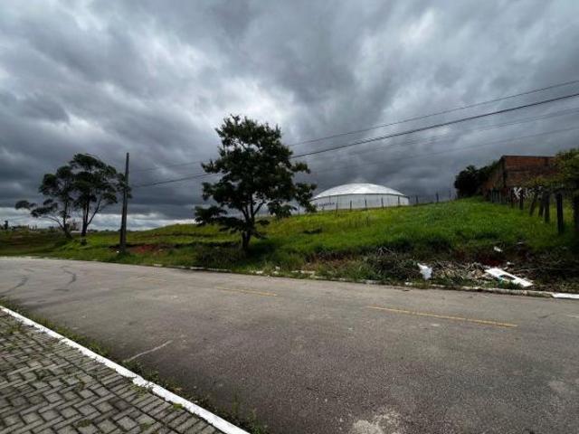 TERRENO A VENDA EM PINHAIS