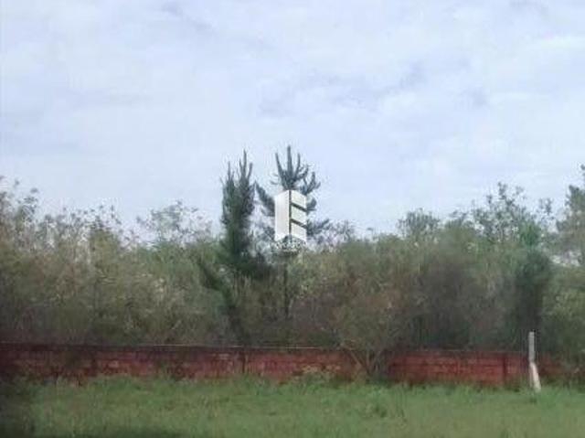 Terreno à venda em Pinheiro Machado