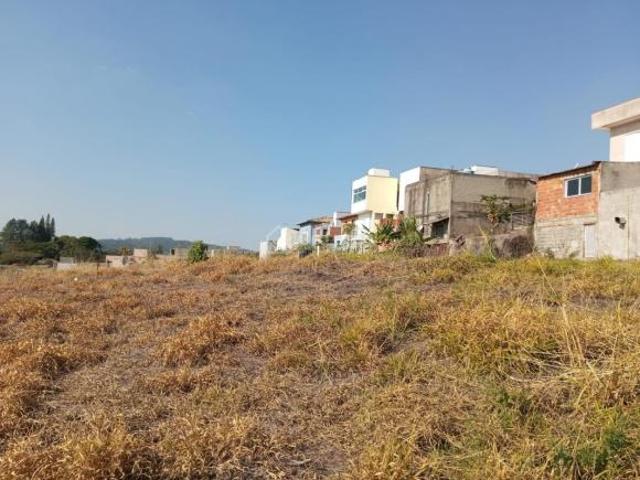 terreno à venda em Pinheirinho