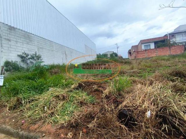 Terreno à venda em Pio XII