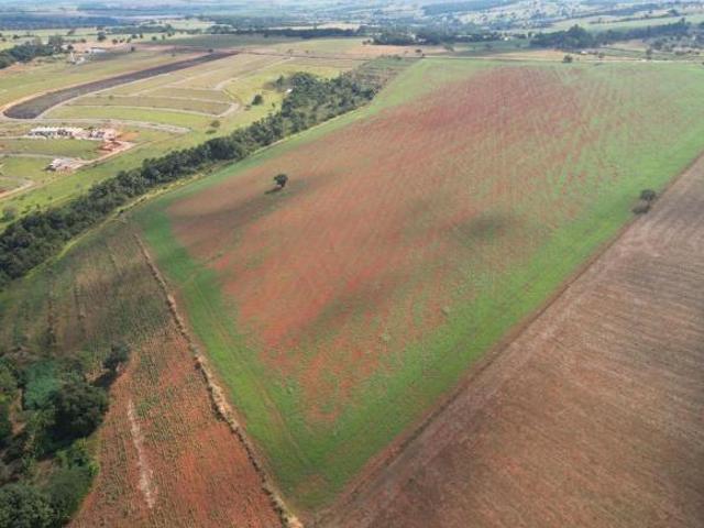 Terreno à venda em Piracanjuba GO, no bairro Perimetro Urbano, com 387.200,00 m² de área!