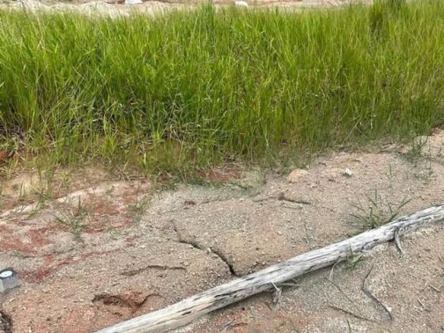Terreno à venda em Putim