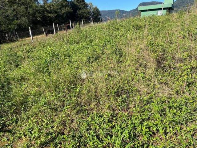 Terreno à venda em Roca Sales Zona Rural