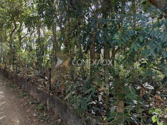 terreno à venda em Roseira
