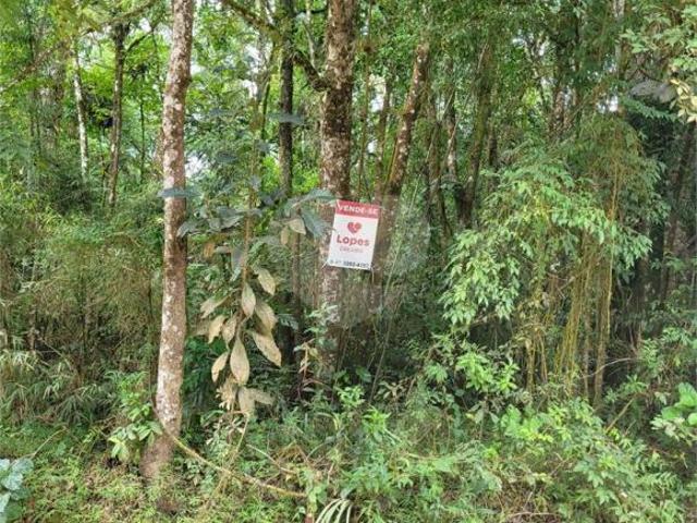 Terreno à venda em Roseira PR
