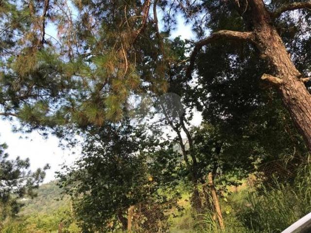Terreno à venda em Roseira SP