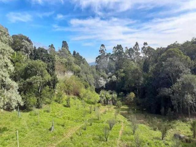 Terreno à venda em Roseira SP