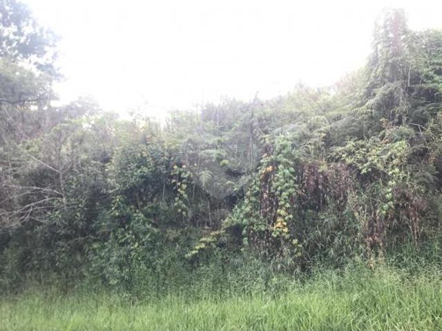Terreno à venda em Roseira SP