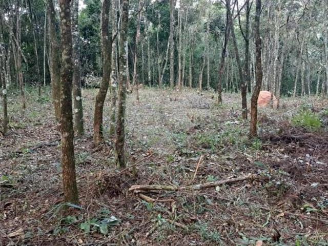 Terreno à venda em Roseira SP
