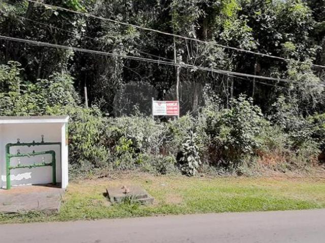 Terreno à venda em Roseira SP