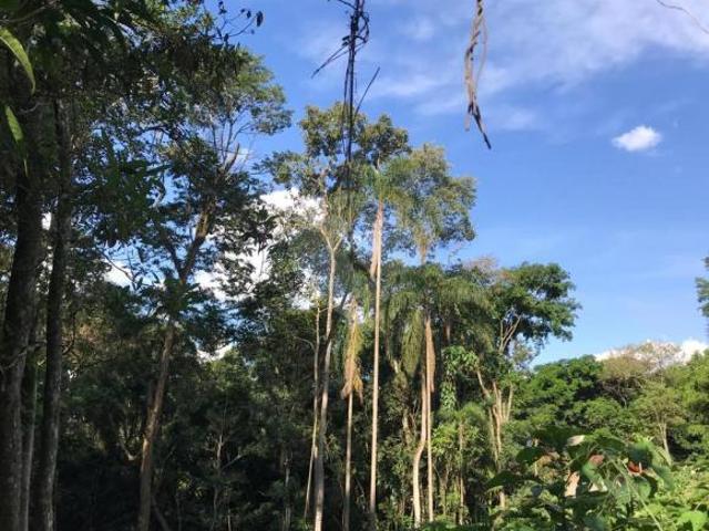 Terreno à venda em Roseira SP