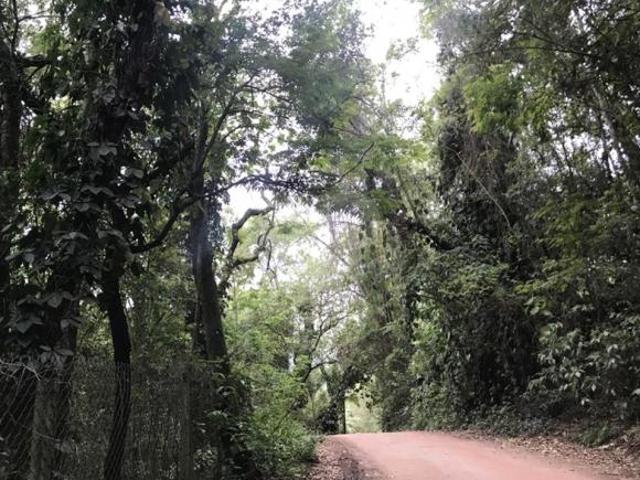 Terreno à venda em Roseira SP