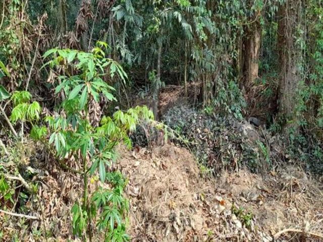 Terreno à venda em Roseira SP