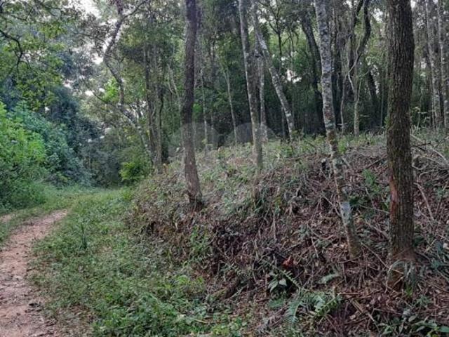 Terreno à venda em Roseira SP