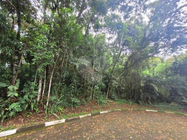 Terreno à venda em Roseira SP