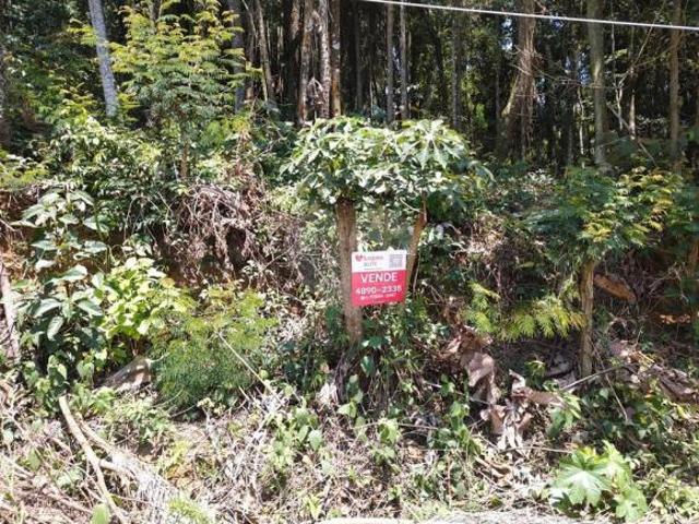 Terreno à venda em Roseira SP