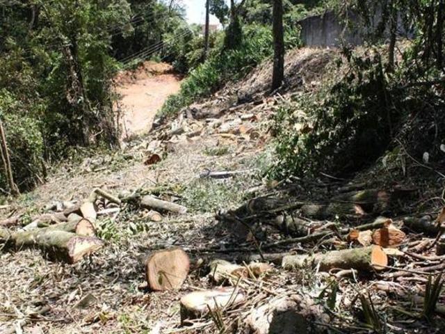 Terreno à venda em Roseira SP