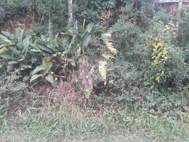 Terreno à venda em Roseira SP