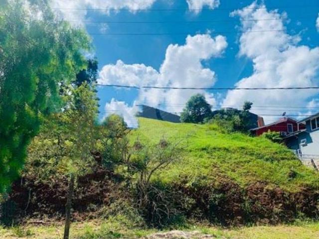 Terreno à venda em Rainha SP