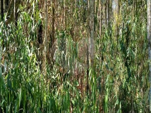 Terreno à venda em Remédios SP