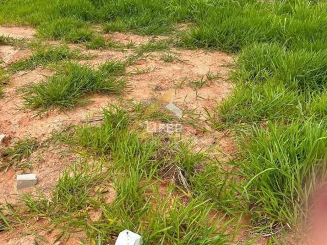 terreno à venda em Residencial Jatibela