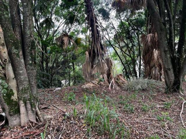 Terreno à venda em Residencial Tamboré SP